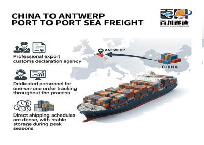 China Sea Freight Agent 20GP Port to Port Shipping Qingdao China to Antwerp Belgium for sale