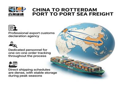 China FCL Sea Freight China Main Ports to Rotterdam Direct Vessel Container Logistics for sale