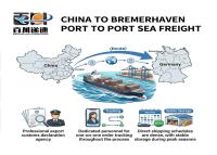 China Low Cost Traditional Sea Shipping Port to Port from China to Bremerhaven for sale