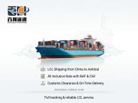 China Sea Freight Shipping Service from China to Haifa Israel with LCL FCL All In Price BAF CAF Included and Customs Clearance for sale