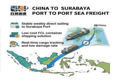 China Professional Cross-border Container Logistics Sea Freight Service from China to Surabaya Port for sale