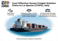 China Cost-Effective Ocean Freight with FCL Container Shipping and 24/7 Multilingual Support from China to La Spezia for sale
