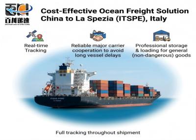 China Cost-Effective Ocean Freight with FCL Container Shipping and 24/7 Multilingual Support from China to La Spezia for sale