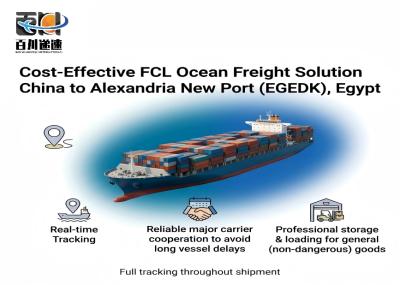 China Cost-Effective FCL Ocean Freight with 24/7 Multilingual Support and 30-45 Days Timeliness to Alexandria New Port for sale
