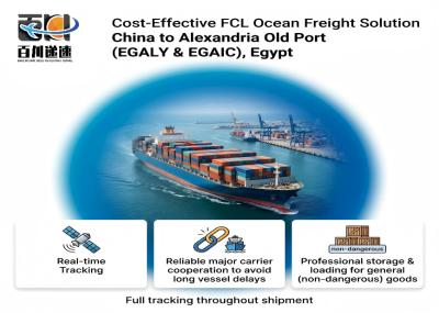 China Cost-Effective FCL Ocean Freight with 24/7 Multilingual Support and Stable Transit Schedules to Alexandria for sale