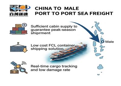 China FCL Sea Freight Shipping Service from China Main Ports to Male Maldives Port with Door to Door and Customs Clearance for sale