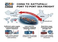 China DDP Sea Freight China to Kattupalli Port India Door to Door Delivery Customs Tax Included for sale