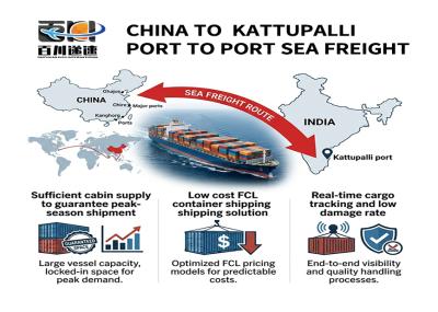 China DDP Sea Freight China to Kattupalli Port India Door to Door Delivery Customs Tax Included for sale