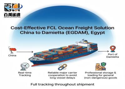 China Cost-Effective FCL Ocean Freight with 30-45 Days Transit and 24/7 Multilingual Support to Damietta, Egypt for sale