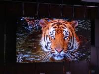 China COB P0.93 P1.25 P1.56 P1.87 Indoor Fixed LED Display Full Color RGB for sale