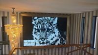 China High Resolution Indoor Fixed LED DisplayP4 Led Video Wall Easy To Install for sale