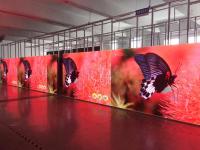 China 3.9mm LED Video Wall Display With Cabinet 500x500mm 6000cd/Sqm Birghtness for sale