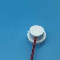 China Durable Carburetor Cleaner Spray Nozzle for Engine Care - Adjustable Flow, Robust Performance for sale