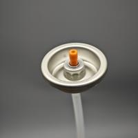 China Leakproof Shaving Foam Valve for Travel-Sized Containers 1 Inch Mounting Cup for sale