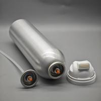 China Shaving Foam Cleaner Spray Valve with Actuator for Aerosol Cans 20mm for sale