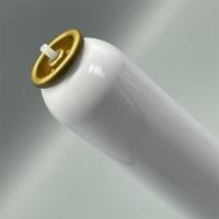 China 1 Inch Personal Care Aerosol Valve for Hair Styling Mousse Spray 304 Stainless Steel for sale