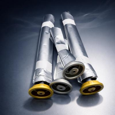 China Advanced Female Aerosol Bag-on-Valve with Eco-Friendly Packaging, One-inch Size, and Tinplate Material for sale