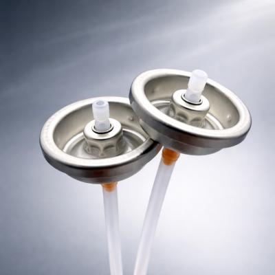 China 25.4mm One Inch Aerosol Valve for Antibacterial Deodorant Spray Systems for sale