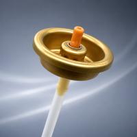 China Aerosol Body Deodorant Spray Valve 360° Leak-Proof Clog-Resistant 20mm Standard Fit for sale