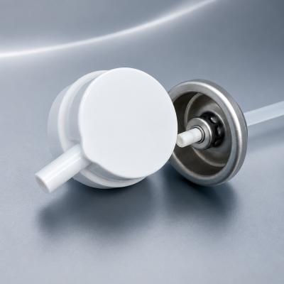 China Carburetor Cleaner Aerosol Valve for Automotive Engine Cleaning Sprays for sale