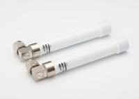 China 2dBi Wifi Router Antenna Lora Fibreglass Outdoor Antenna 2.4-2.5GHz RHF-GLL2WN for sale