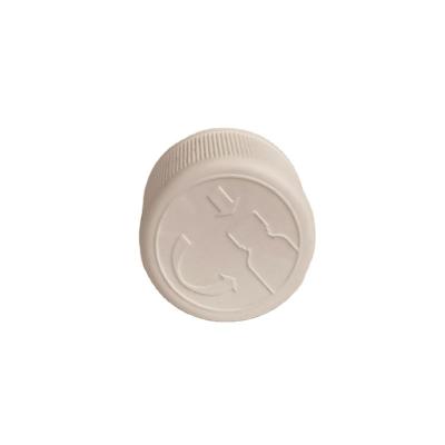 China Amber 90ml Glass Bottles with Screw Caps Transparent Dosage Covers Labels Boxes Industrial Food Packaging for sale