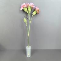 China 4cm Flower Water Tubes Pack of 50 Reusable Durable Test Tubes for Flower Shops Cafés for sale