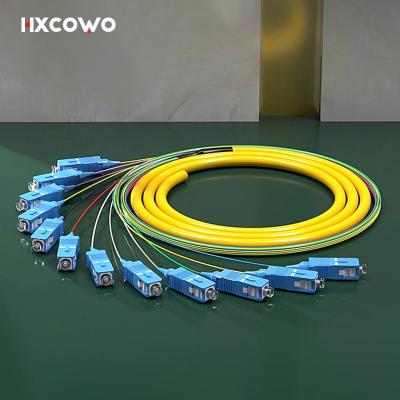 China 12 Core SC UPC APC LC FC ST E2000 SM MM OM2 OM3 OM4 Fiber Optic Pigtail Ribbon Patch Cord for sale