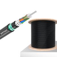 China Non Metallic Outdoor Armored Fiber Optic Cable GYFTA53 Custom Length for sale