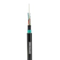 China GYFTA53 Singlemode G652D Non-Metallic Material Water Proof Armored Fiber Optic Cable for sale
