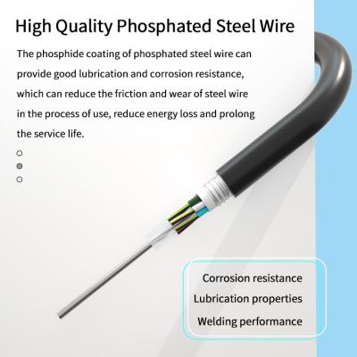 China 3-7 Days Delivery Date 12 Core Fiber Optic Armored Cable Suitable for Harsh Environments and Long Distance Communication for sale