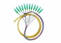 China SC/APC SM 12Core Pigtail for sale
