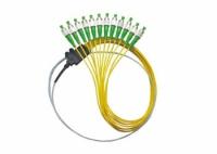China 12Core SM FC/APC Pigtail 3.0mm The Ultimate Solution for Smooth Fiber Optic Connections for sale