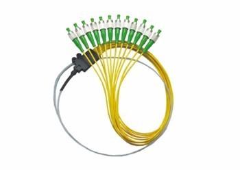 China 12Core SM FC/APC Pigtail 3.0mm The Ultimate Solution for Smooth Fiber Optic Connections for sale
