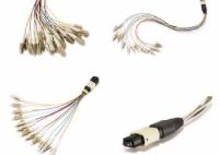 China MTP Internal Fan Out Patch Cable for sale