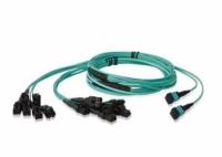 China MPO/MTP Fan-out Fiber Patch Cord for sale