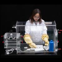 China Laboratory Benchtop Transparent Vacuum Acrylic Glove Box for sale
