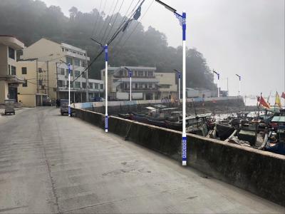 China FT-SSHW001 60W Solar LED Street Light Highly Efficient Solar Panel Design for sale