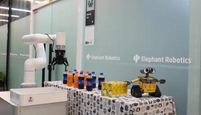 China Cobot China Myrobot PRO-600 Light weight   Palyload 2kg reach 600mm With Robot Gripper Easy Program As Robotic Arm for sale