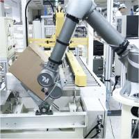 China Handling Robot Of TM5M-900 Cobot With Collaborative Robotic Arm 6 Axis For Handling As Cobot Robot for sale