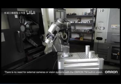 China Collaborative Robot TM5-700 With Pick And Place Robot Arm 6 Axis For Pick And Place As Cobot for sale