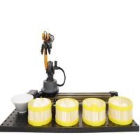 China WLkata ABS artificial intelligence cnc 6 axis mini robot for education or pick and place for sale
