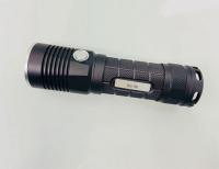 China DG-30 LED Ultraviolet Torch UV Lamp for sale