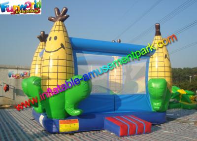China 5x5x5 Meter Commercial Bouncy Castle with 0.55mm PVC Tarpaulin - Fire Retardant & Waterproof for sale