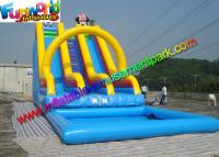 China Dual Slide Mickey Outdoor Inflatable Water Slide 0.55mm PVC Tarpaulin Custom Size for sale