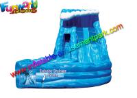 China Special Monster Outdoor Inflatable Water Slide with Landing 1250LBS Commercial Grade PVC for sale