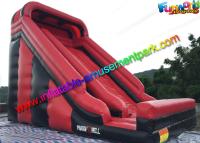 China Customized Two lane Inflatable Dry Slide With PVC for exhibition , celebration for sale