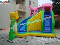 China Commercial 0.55mm PVC Tarpaulin Inflatable Water Slide 4.9x4.6x3.5m for Children for sale