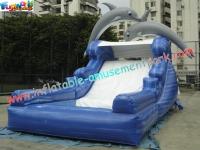 China Dolphin Inflatable Water Slide 10m x 2.5m with UL Blower Commercial Grade PVC for sale