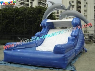 China Dolphin Inflatable Water Slide 10m x 2.5m with UL Blower Commercial Grade PVC for sale
